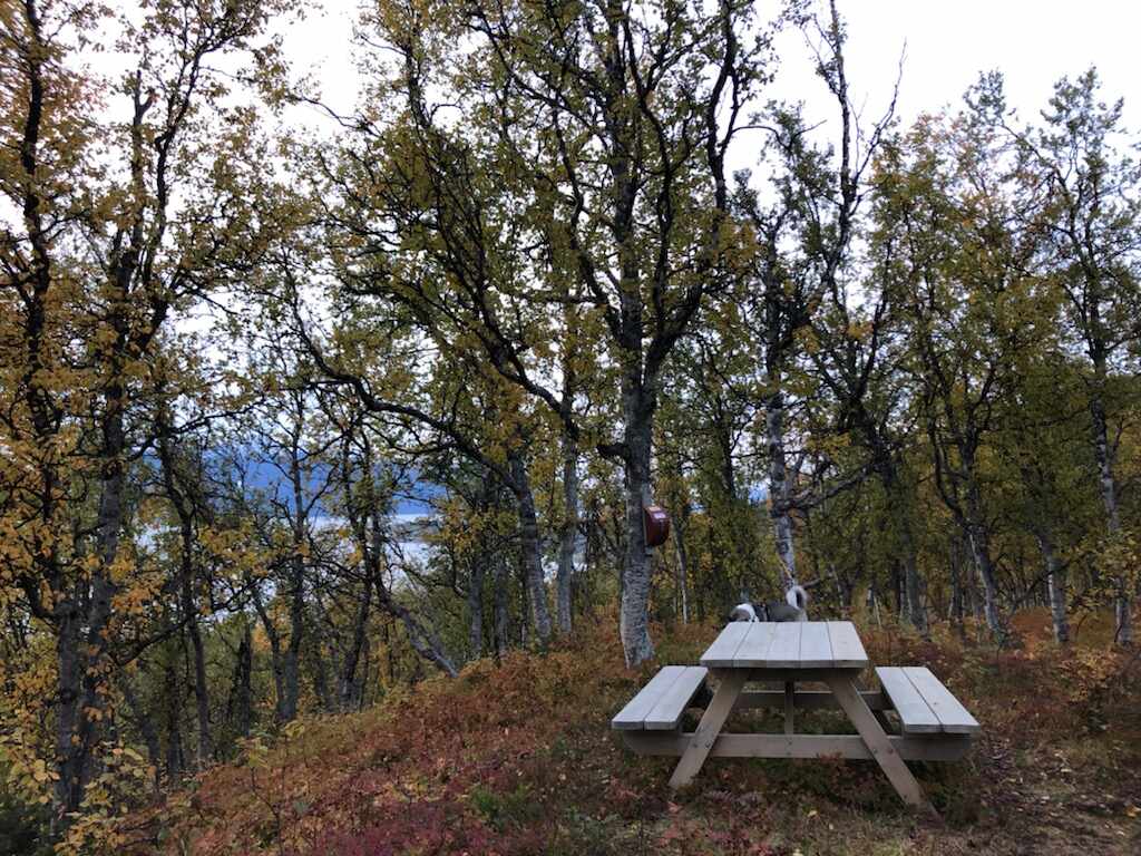 109. Storbakken, Djupvik - Ny!